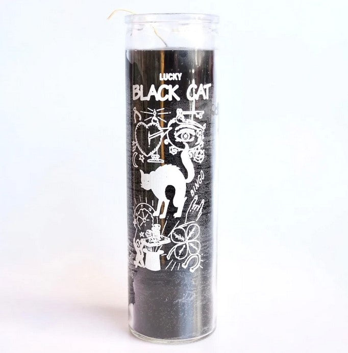 MEXICAN PRAYER RITUAL CANDLE Black Cat VIRGIN MARY GUADALUPE VOTIVE ...