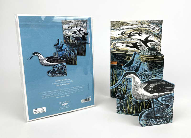 ANGELA HARDING GREETING CARD Avocets 3D CONCERTINA CARD – We Are ...